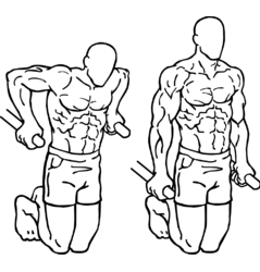 Tricep Dips & Chest Dips. The Big Difference! | MuscleHack
